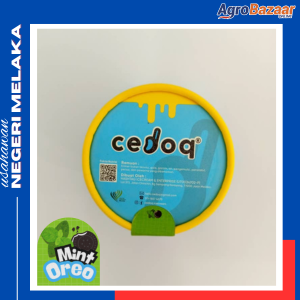 Mint Oreo | AgroBazaar