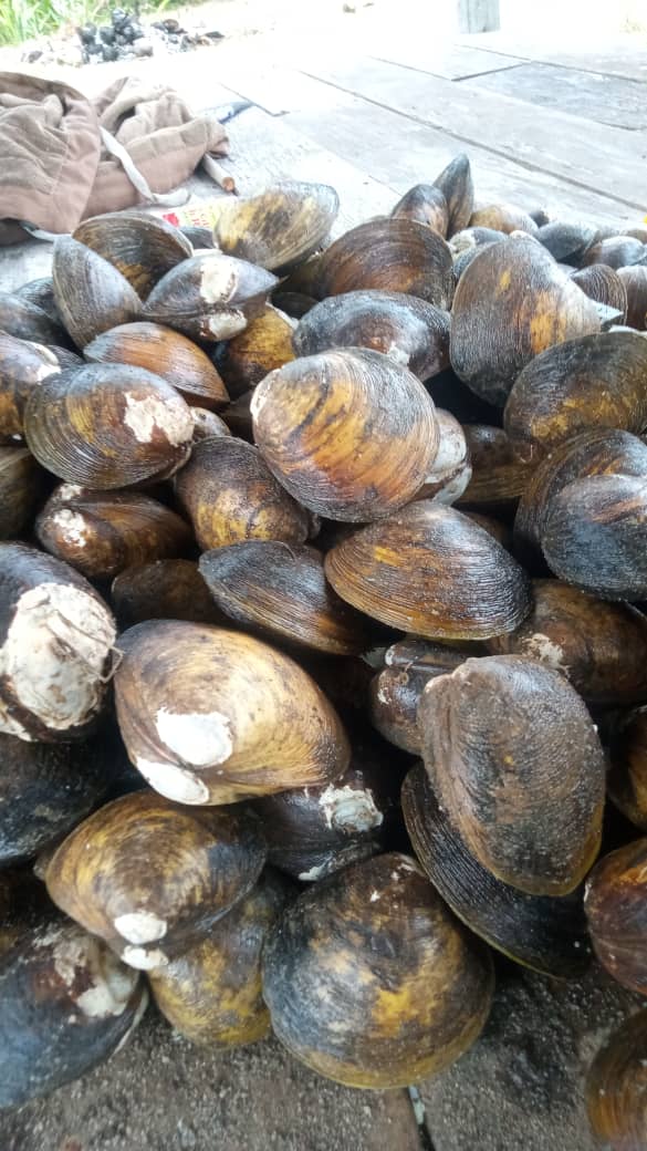 AgroBazaar Online | Portal E-Dagang - Produk Pertanian dan Industri ...