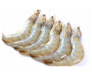 Udang Putih (Vannamei) | AgroBazaar