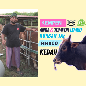 RAYA KEEMPAT* TOMPOK LEMBU KORBAN