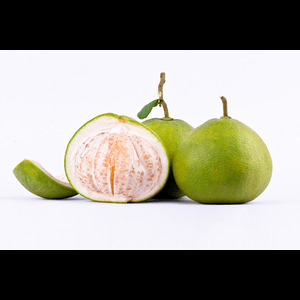 Baja Buah Raya