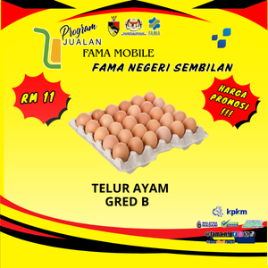Telur Ayam Sepapan 30 Biji / Gred A | AgroBazaar
