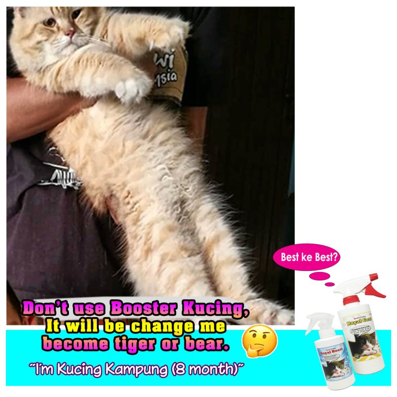 AzfaRich Cat Royal Coat Ubat Kucing Bulu dan Kulit 200ml