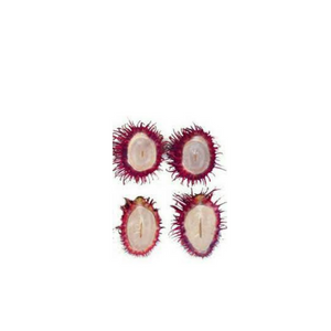 Anak Pokok Rambutan R100 Tiada Biji Nephelium lappaceum Seedless